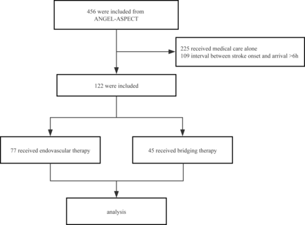 Effectiveness and safety of bridging therapy and endovascular therapy ...