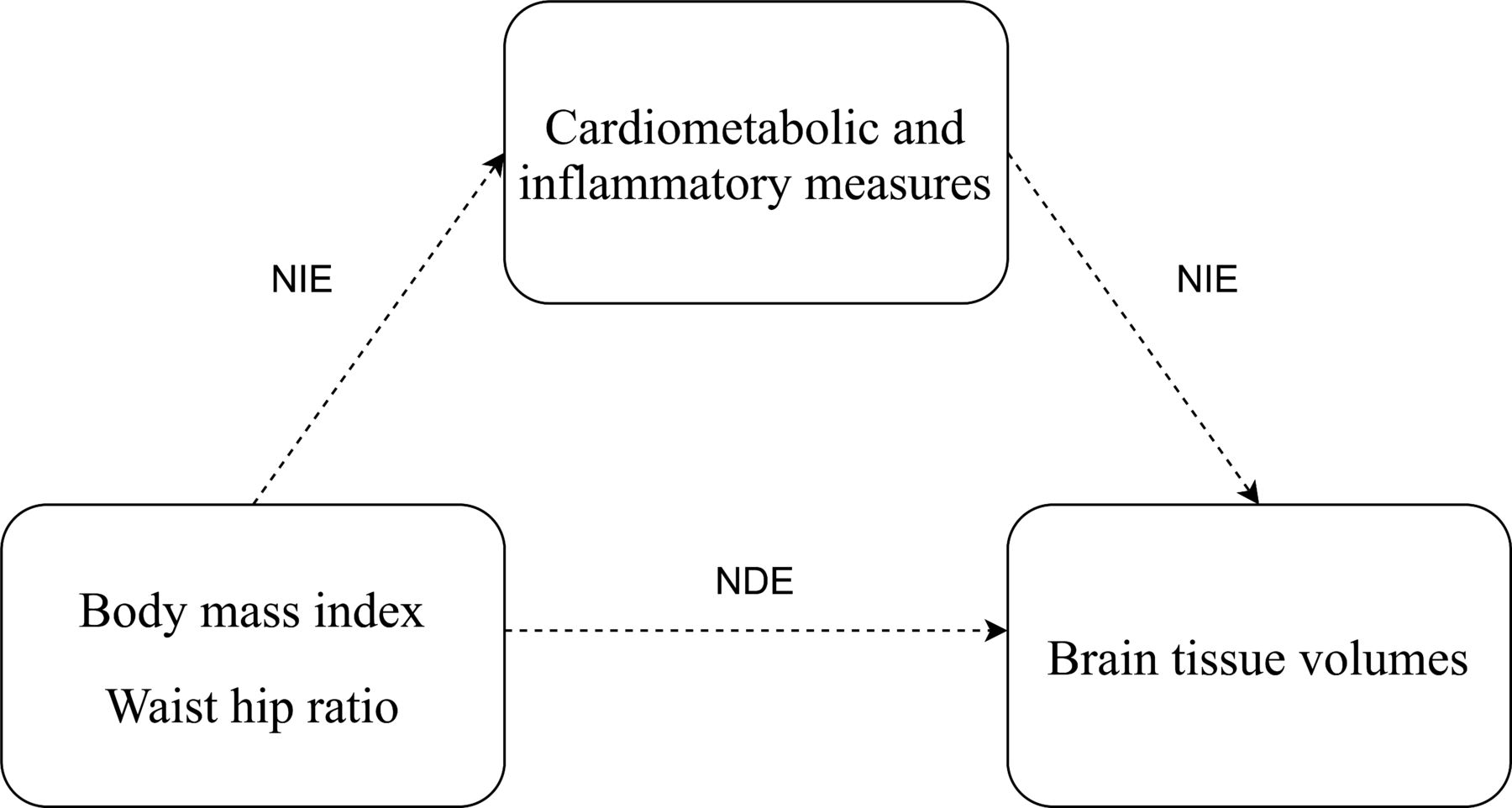 Obesity and brain volumes: mediation by cardiometabolic and ...