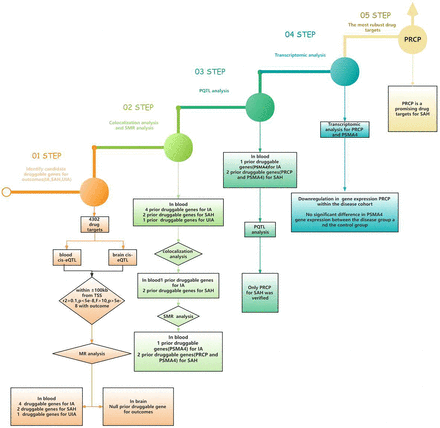 PRCP is a promising drug target for intracranial aneurysm rupture ...