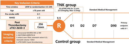 Intra-arterial tenecteplase after successful endovascular therapy ...