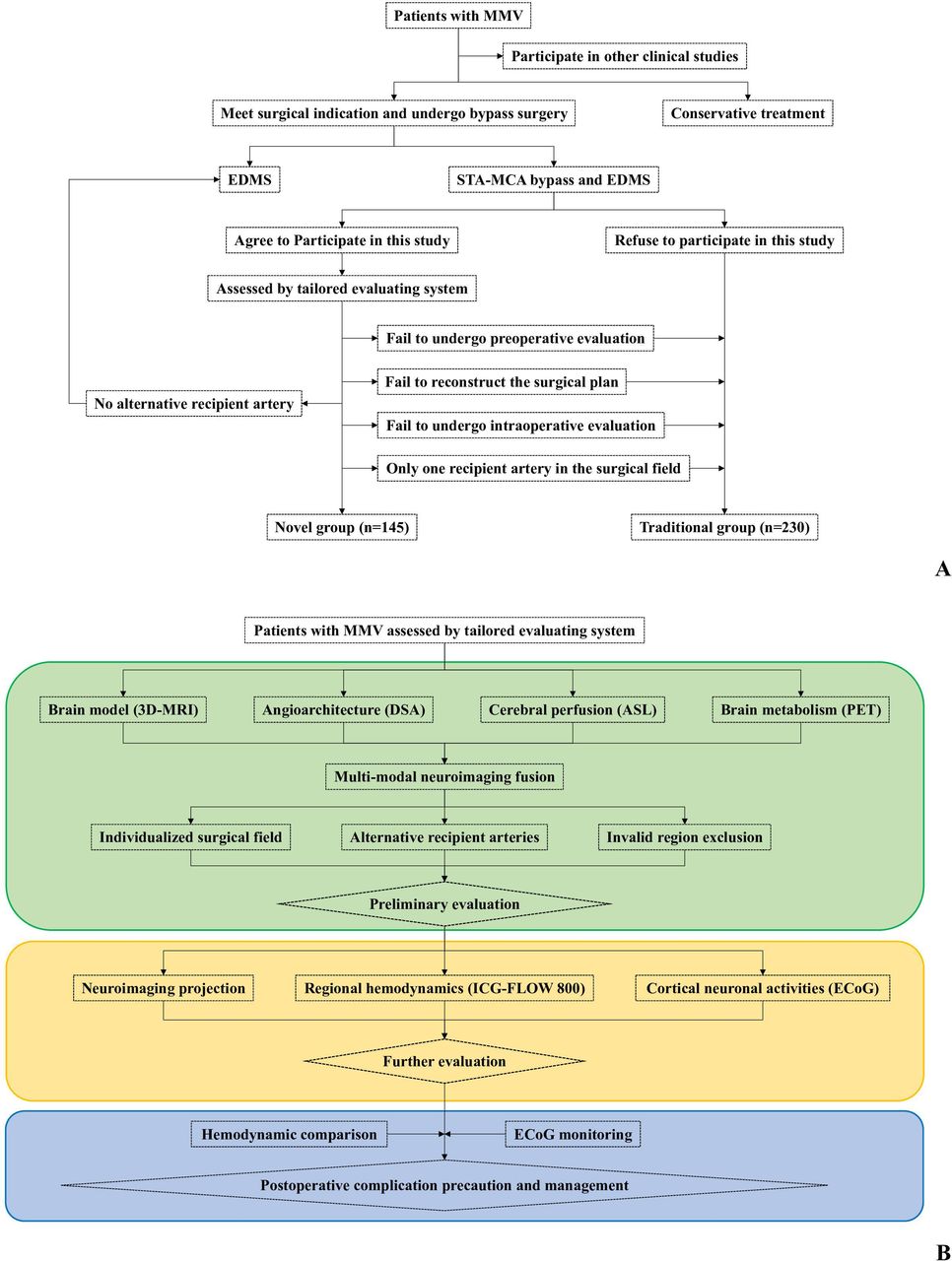 Individualised evaluation based on pathophysiology for moyamoya ...