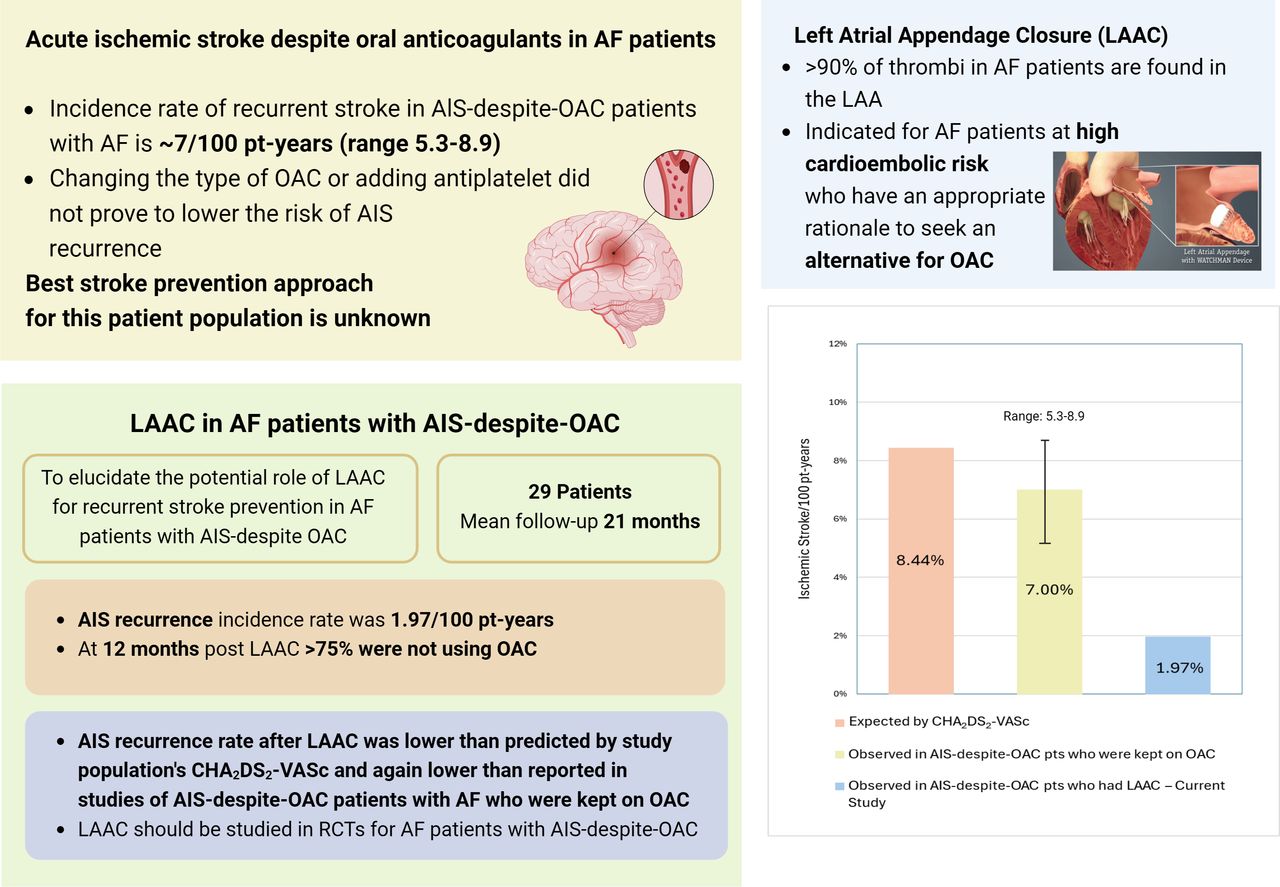 Left atrial appendage closure in patients with atrial fibrillation and ...