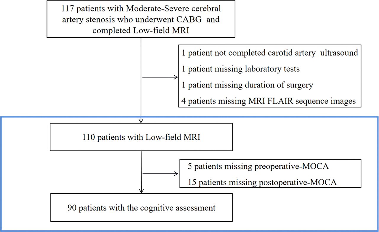 Incidence and impact of brain lesions and cognitive impairment after ...